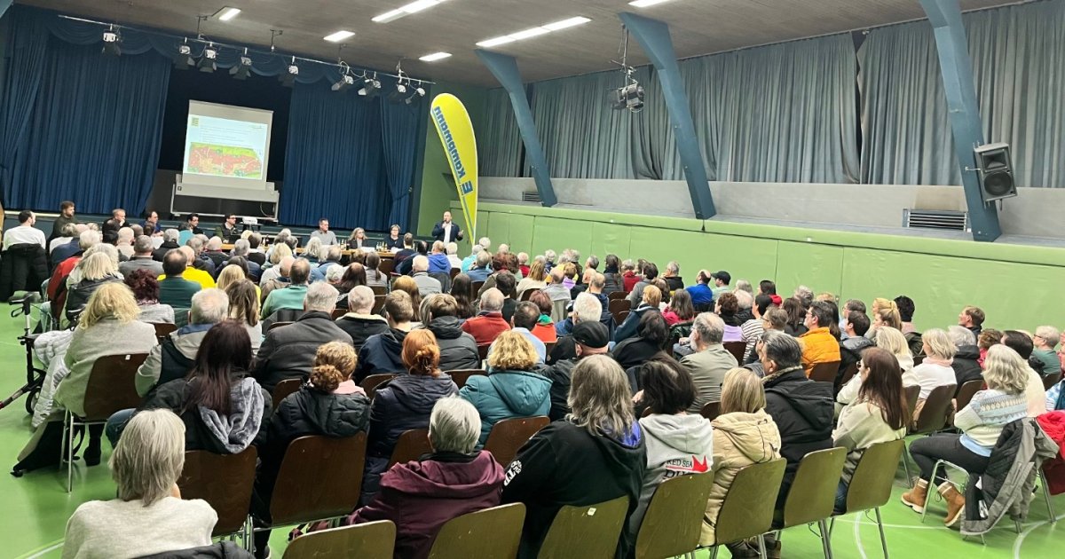 Stadt Reinheim und Edeka informieren über möglichen Neubau | Stadt Reinheim